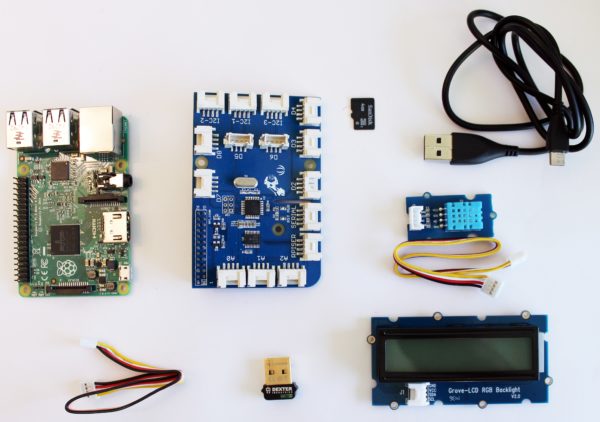 Raspberry Pi temperature sensor with Display example